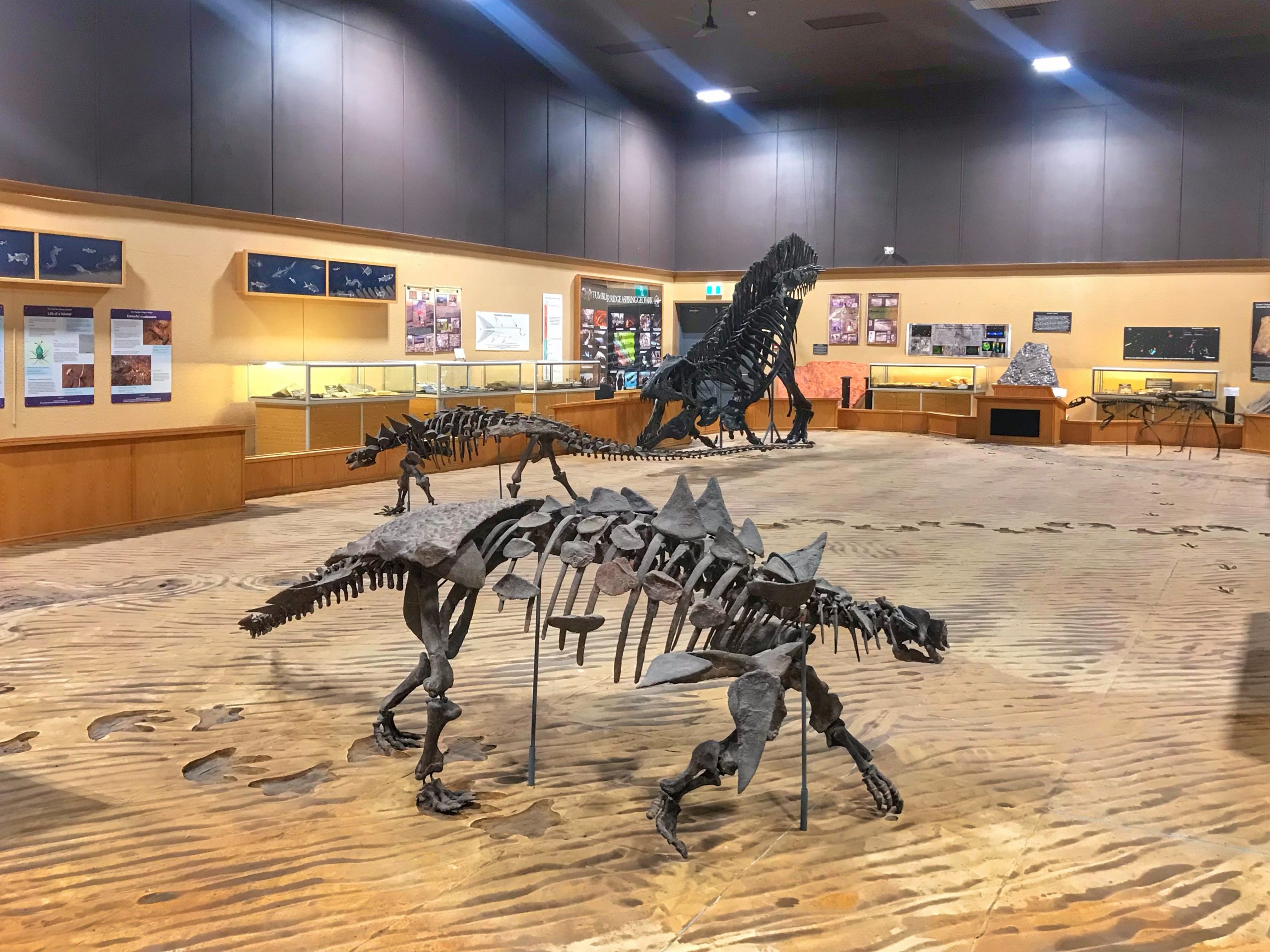 Museum looking to extend funding for four years - Tumbler RidgeLines